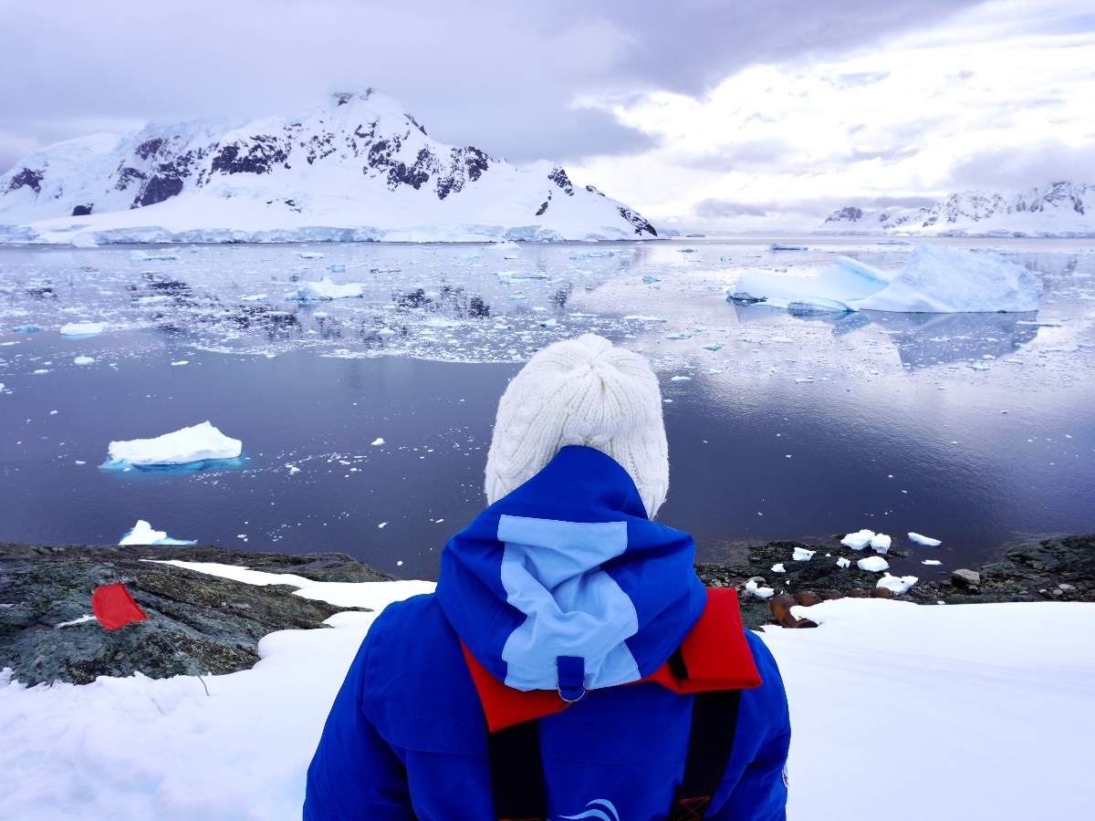 Antarctica vs Arctic - What Is The Difference?